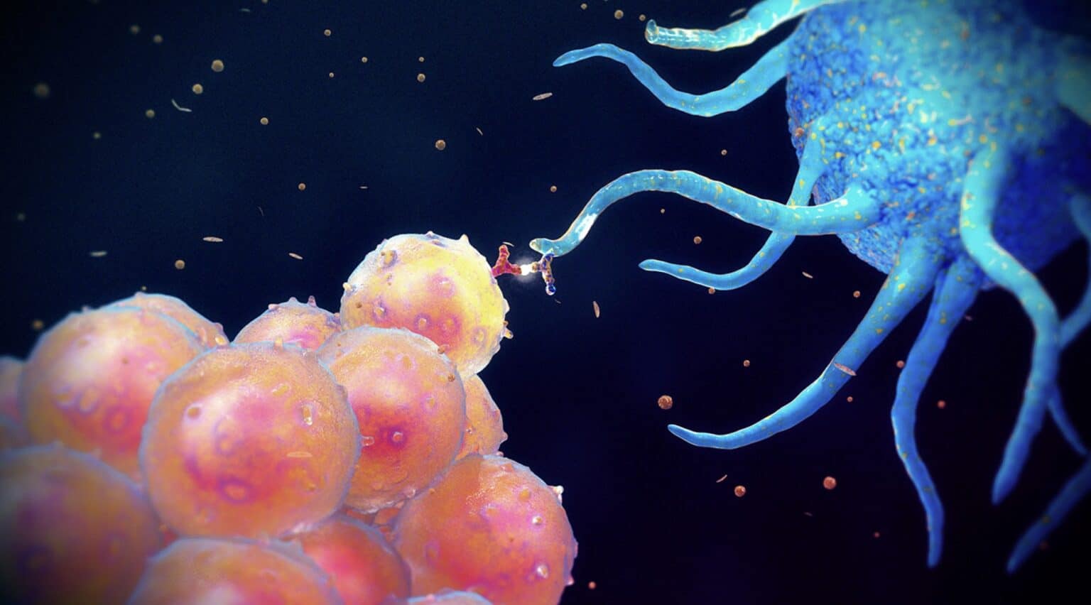Sequential immunotherapy for functional cures in autoimmunity - Plenge ...